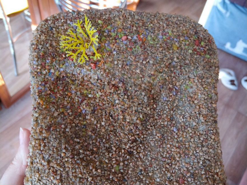 Мостик для черепах