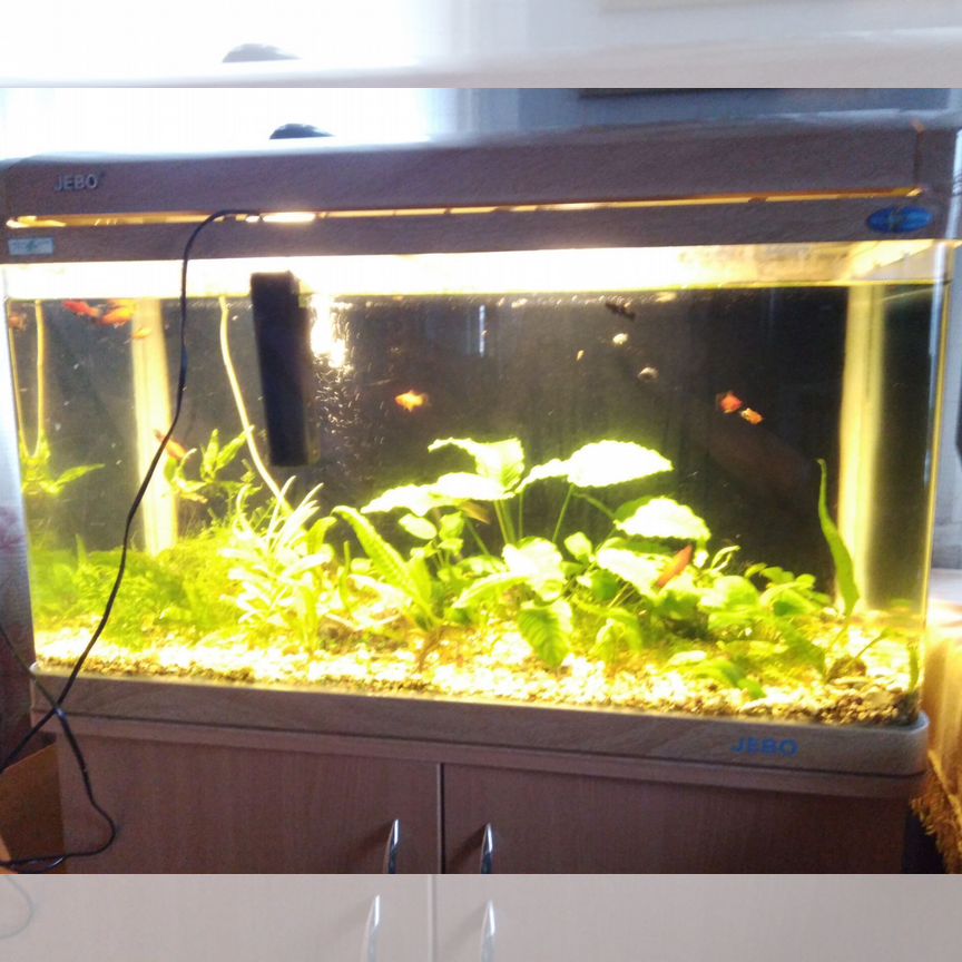 Аквариум джебо с тумбой