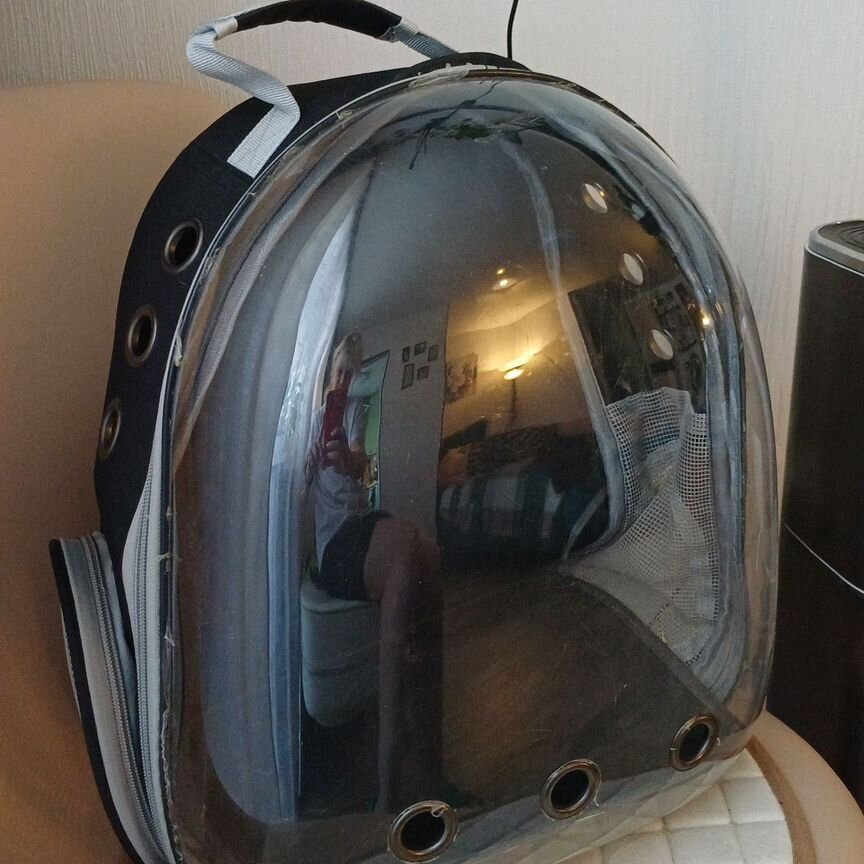 Переноска для кошек и маленьких собак