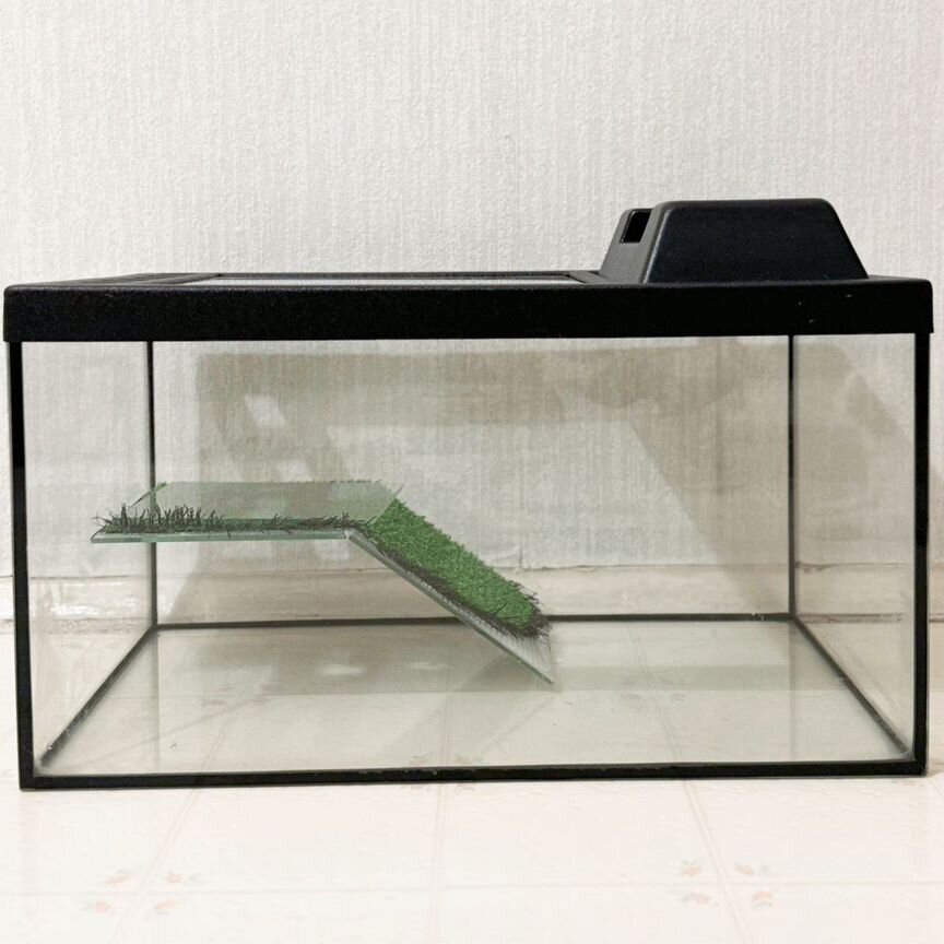 Акватеррариум для красноухой черепахи