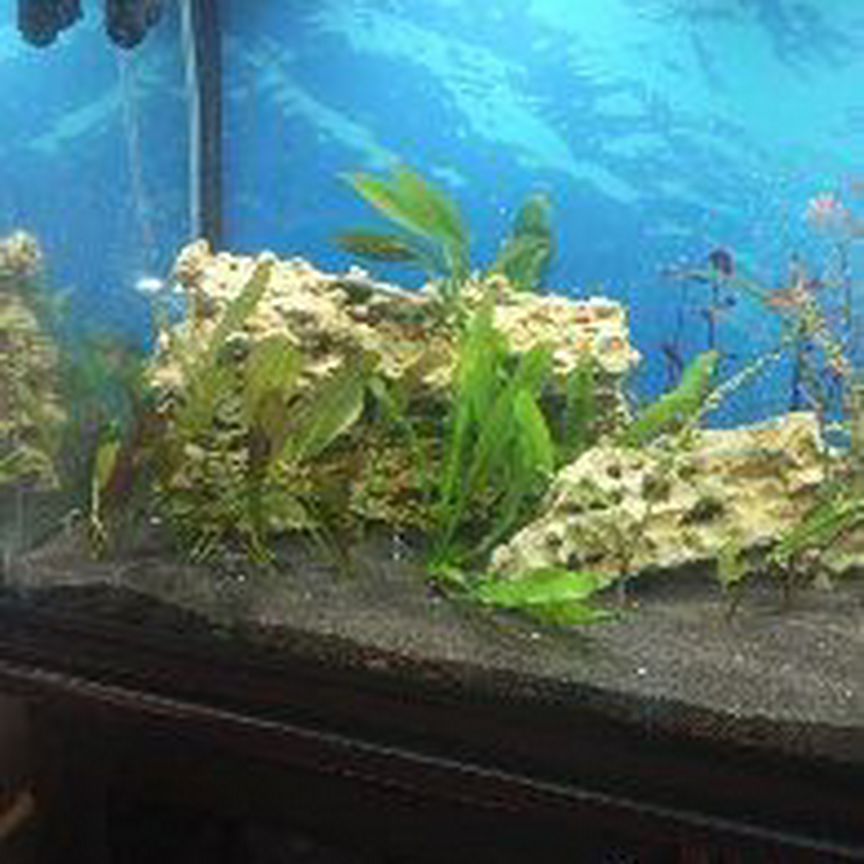 Украшение для аквариума