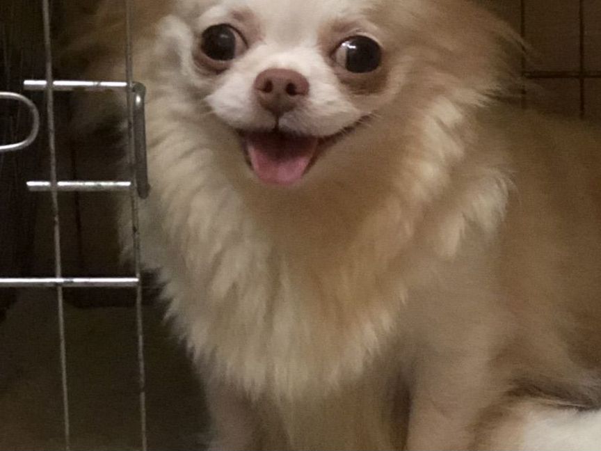 Очень хорошая девочка