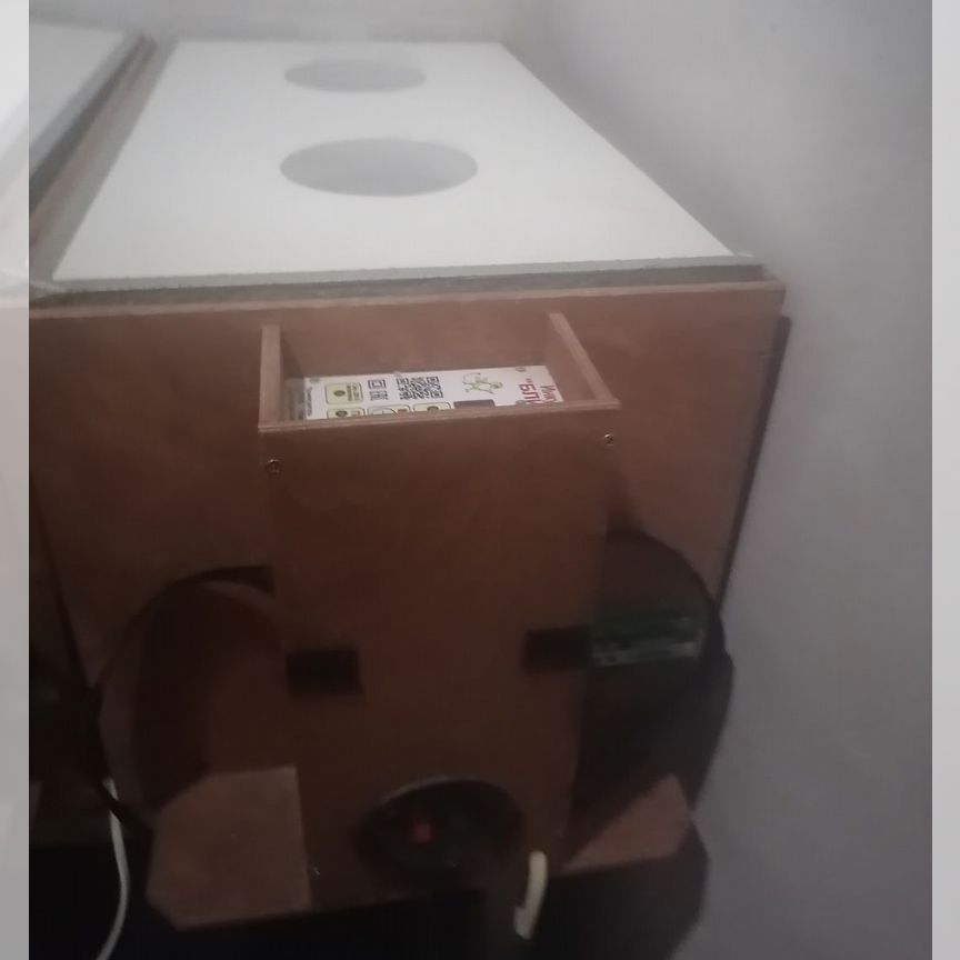 Домашний инкубатор
