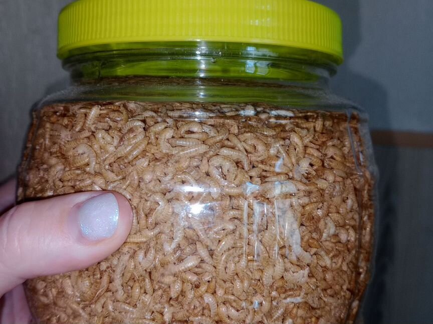 Корм для рыбок и черепашек