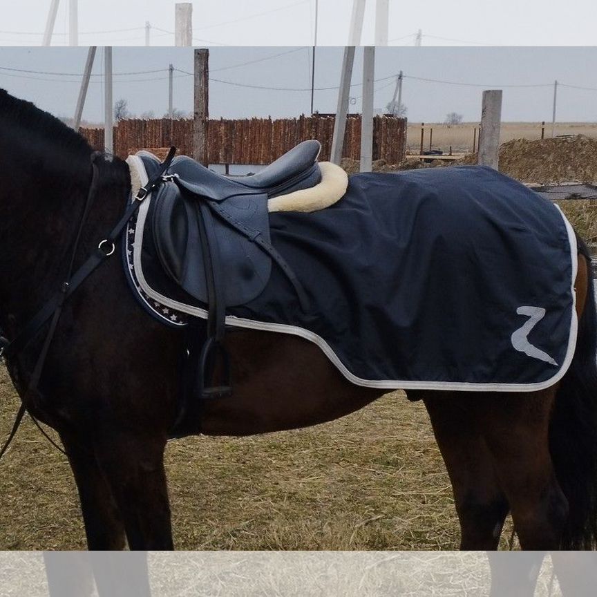 Полупопона для лошади дождь на флисе