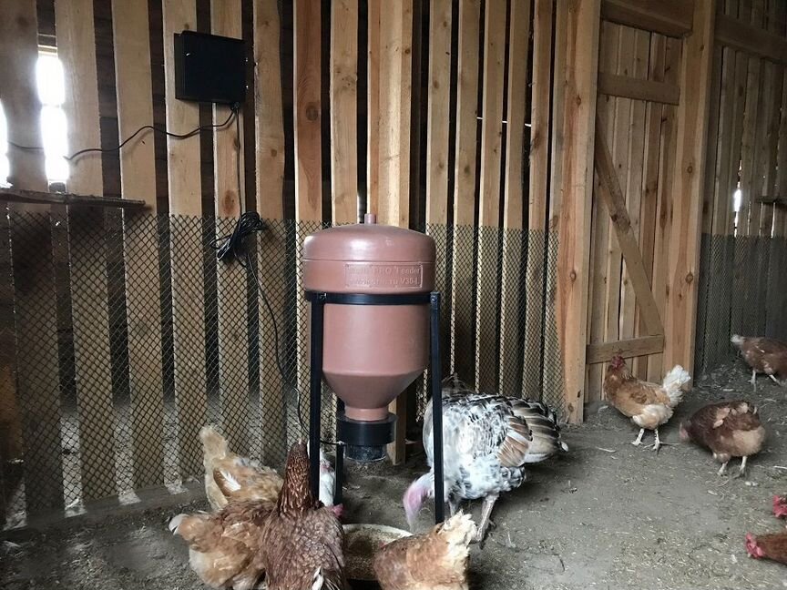 Автоматическая кормушка для курятников