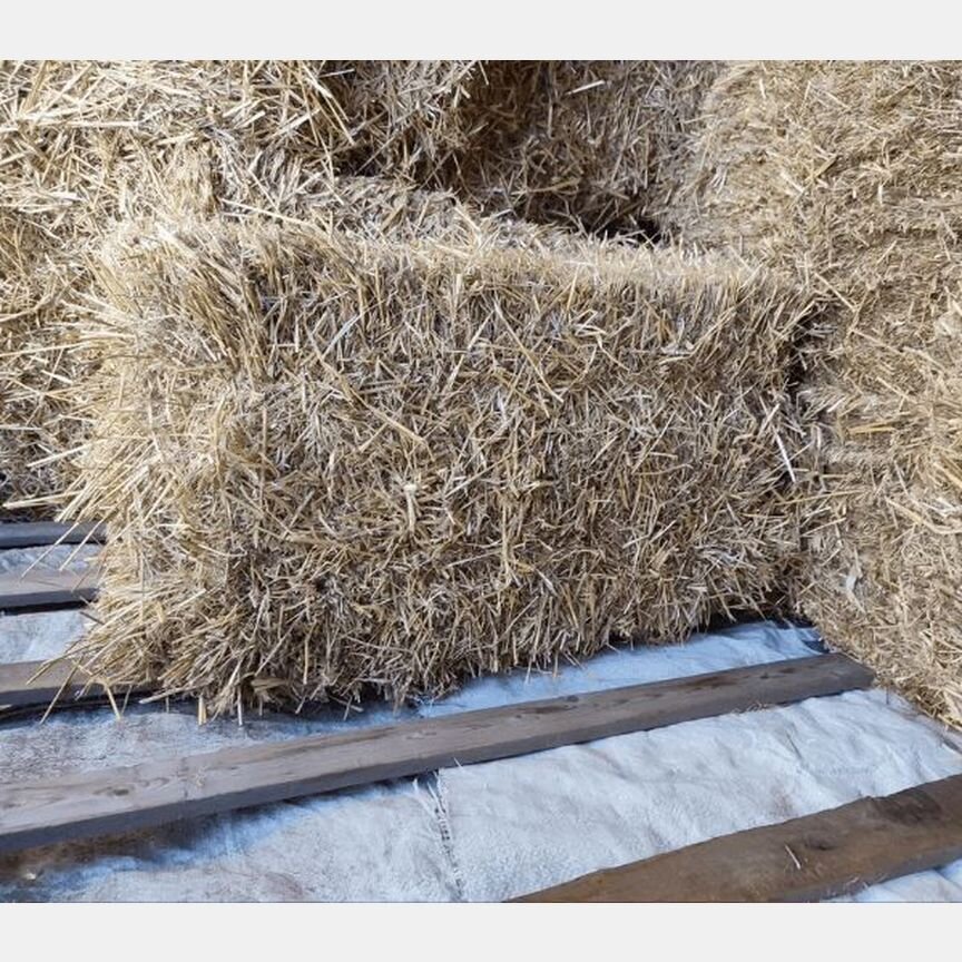 Солома в тюках рисовая