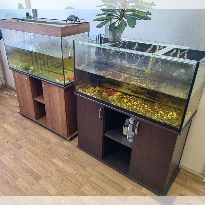 Аквариум с тумбой 150л 2шт с фильтром и воздухом