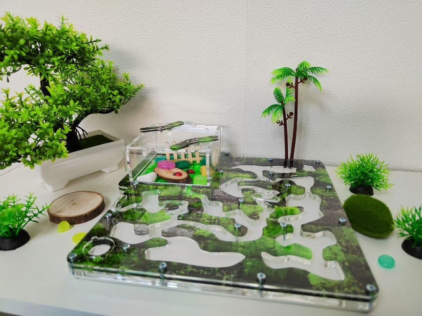 Муравьиная ферма с муравьями