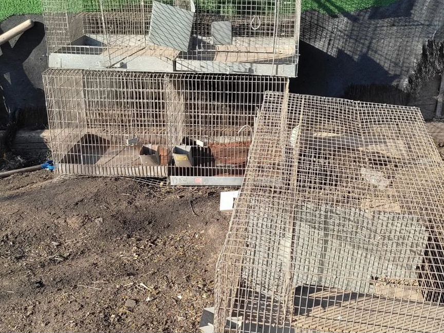 Клетки для перепелов, птиц, нутрий