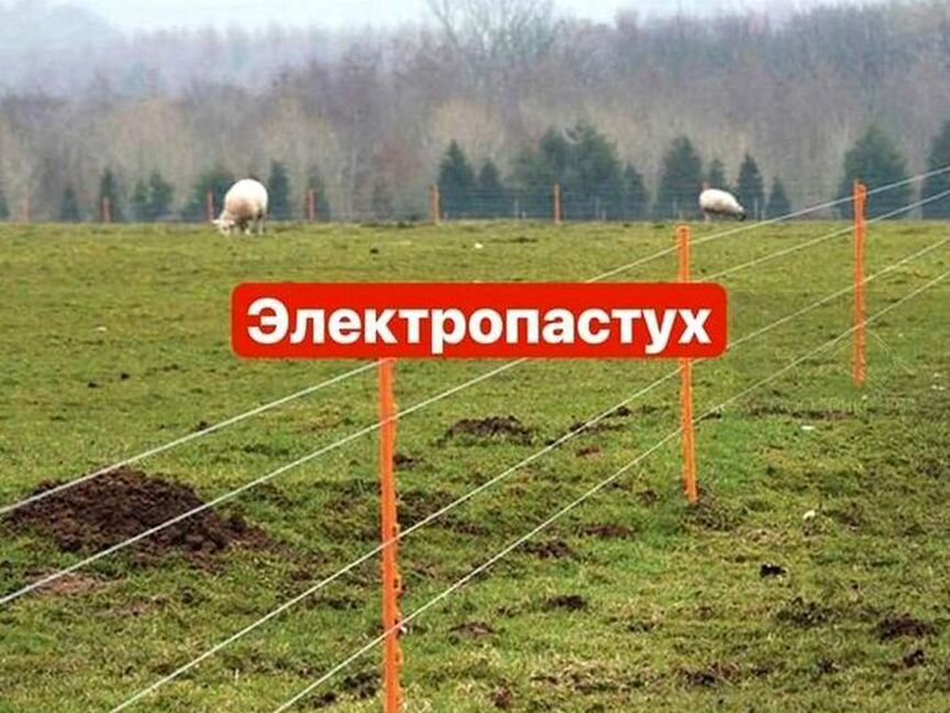 Электропастух для коз