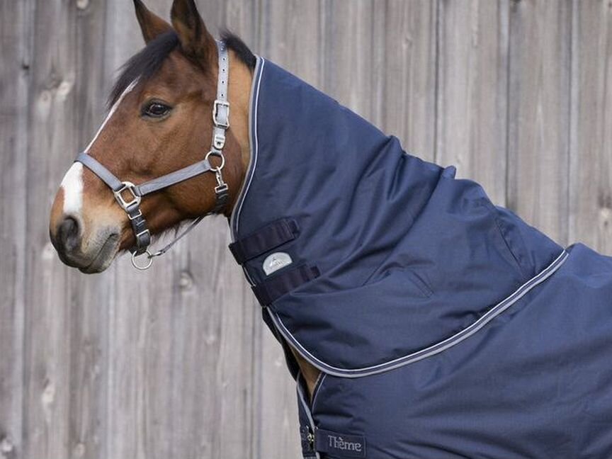 Капор зимний для лошади новый