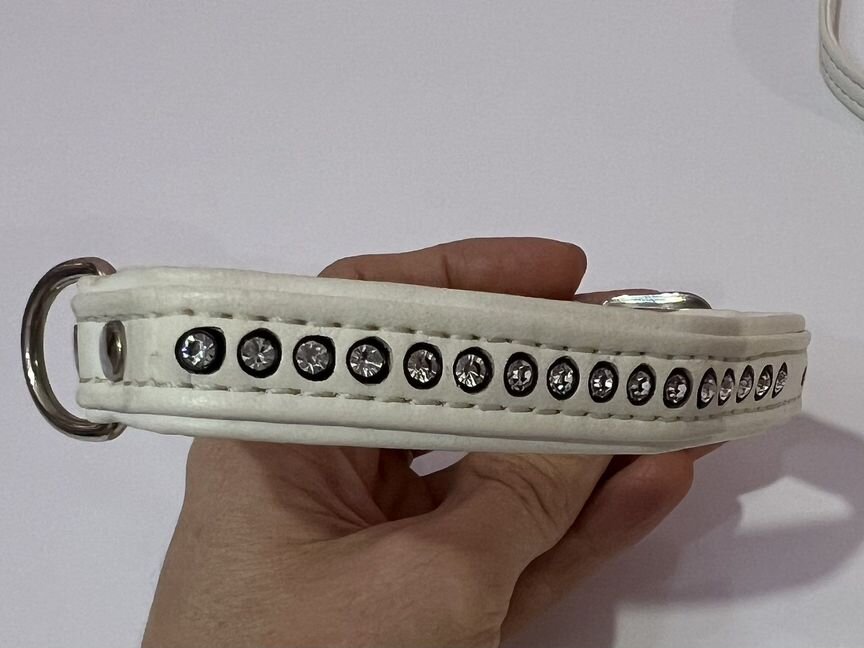 Ошейник и поводок