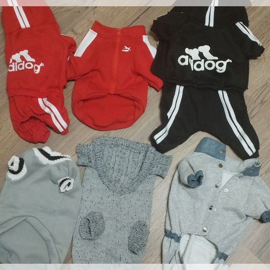 Одежда для маленьких собак бу