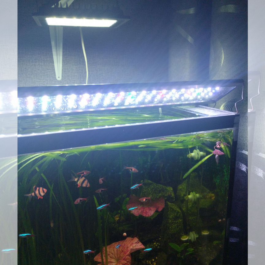 Продам аквариум