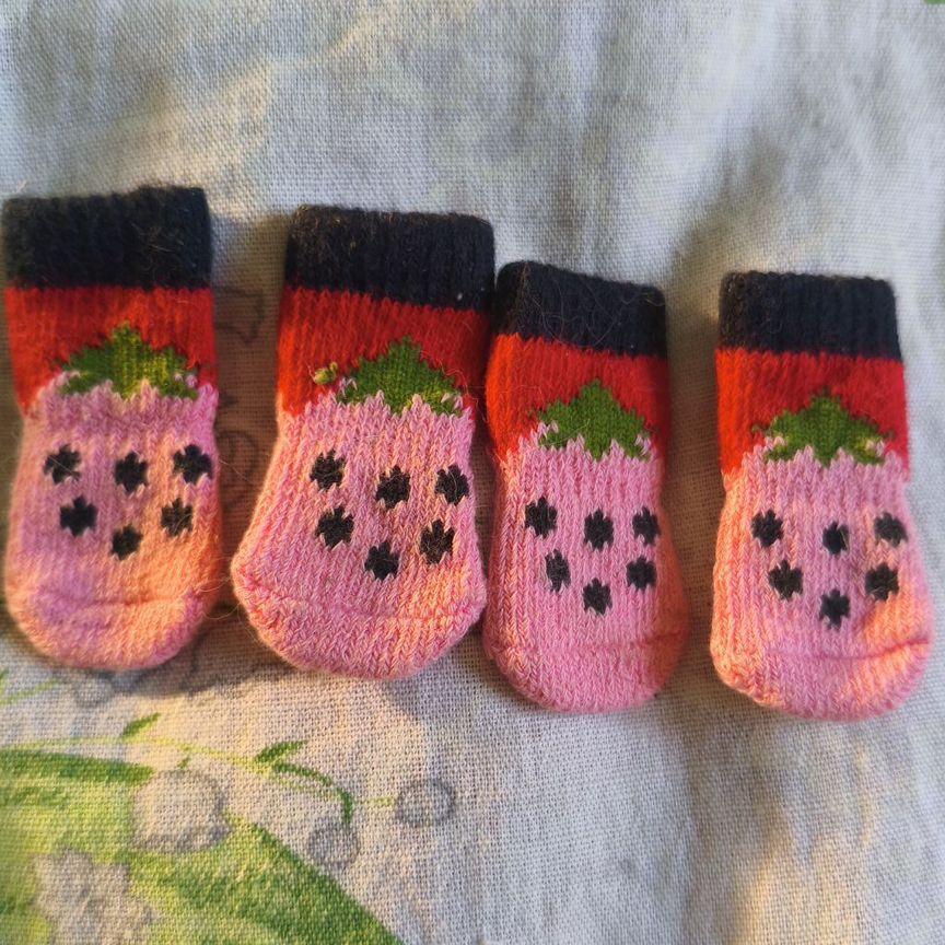 Носки для собак мелких пород