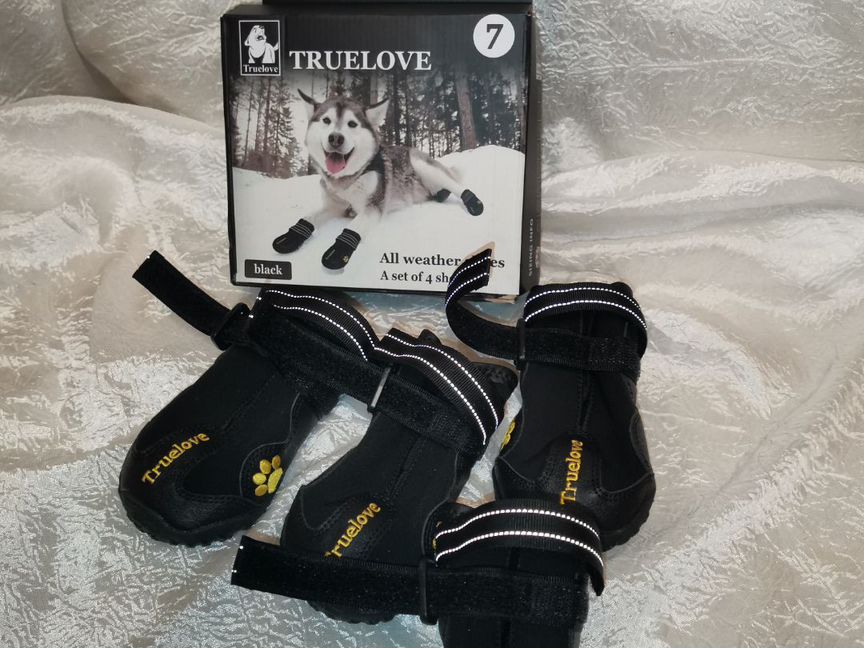 Обувь для крупных собак