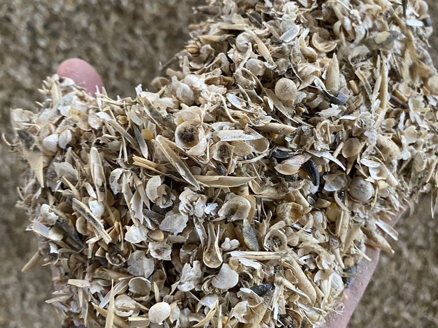 Зерноотходы