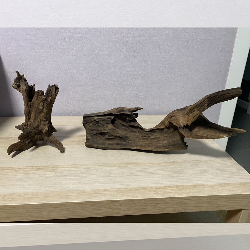 Дубовая коряга для аквариума