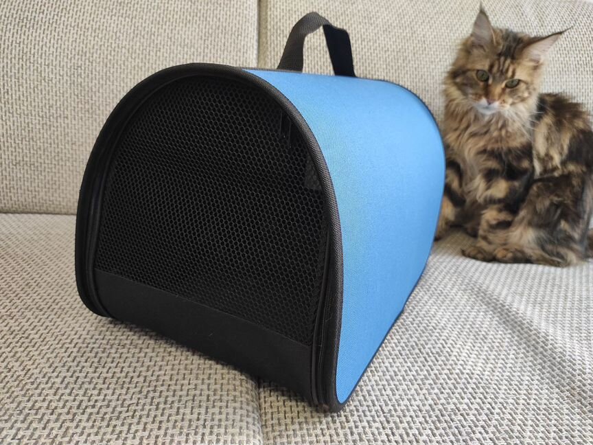 Переноска аренда