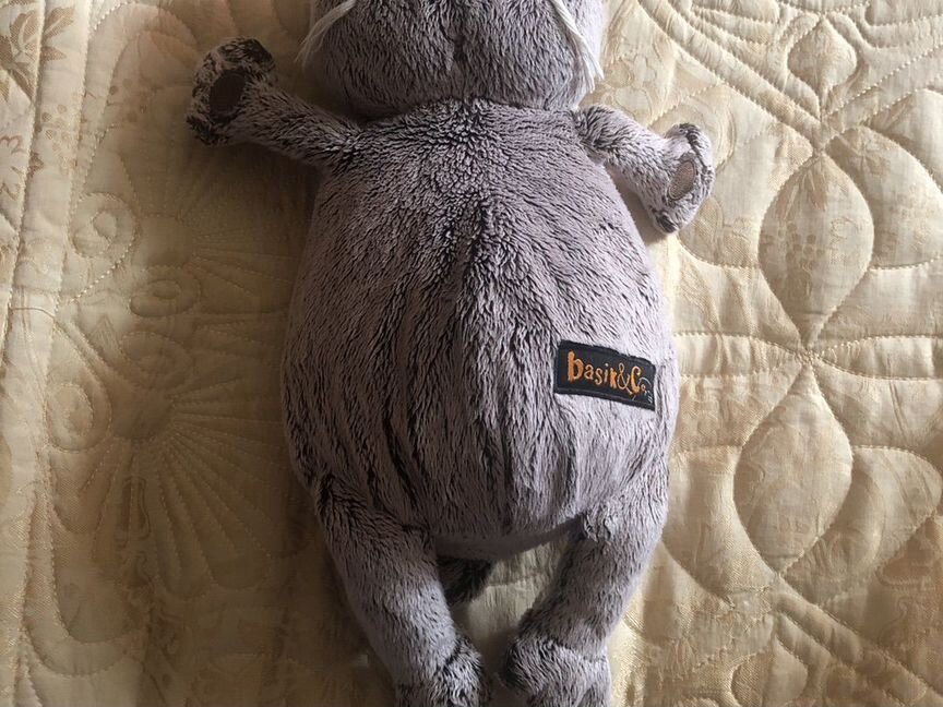 Кот барсик