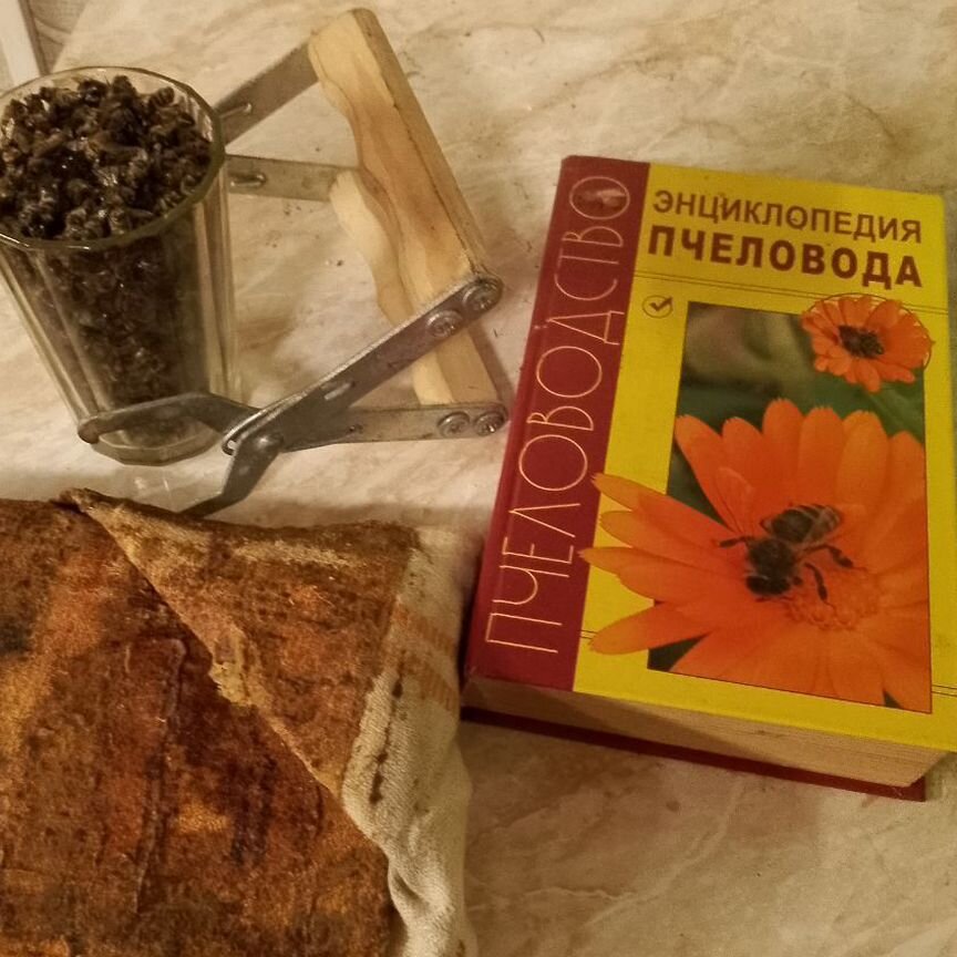 Инвентарь для пчеловодства