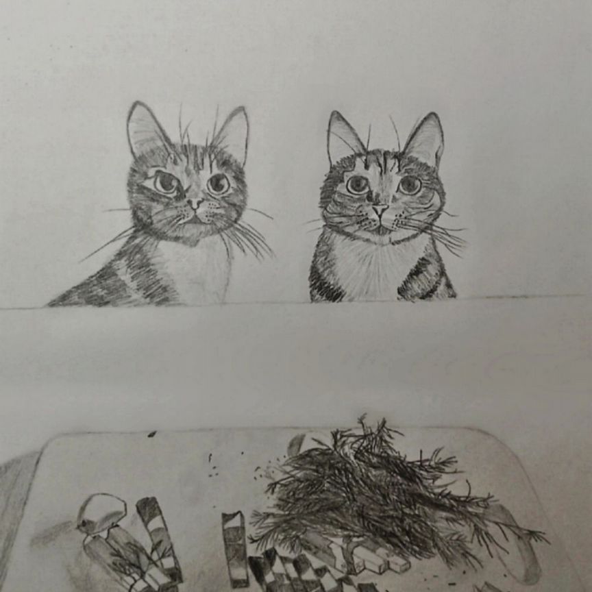 Рисунки ваших домашних животных, питомцев