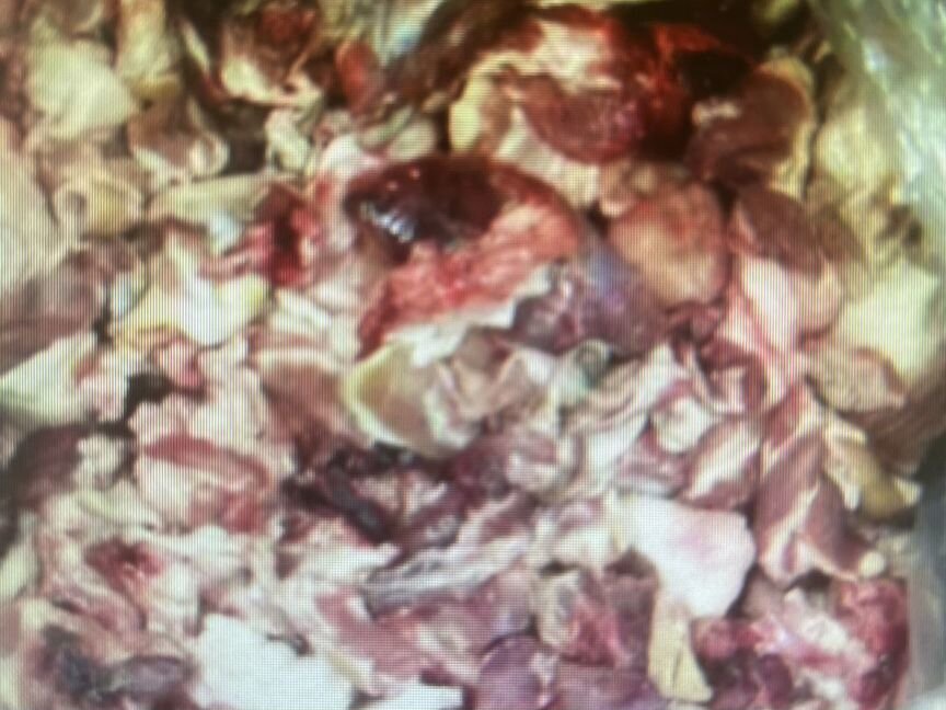 Мясная обрезь для собак