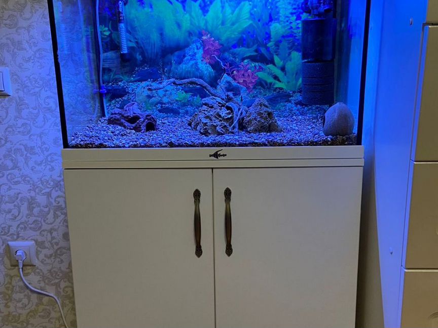 Аквариум biodesign 110