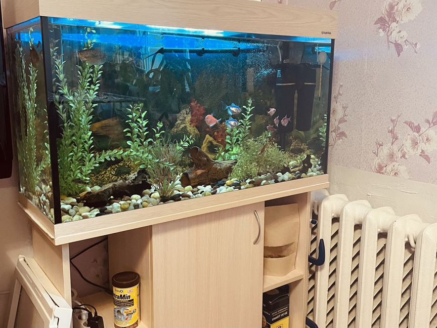 Аквариум AquaPlus 150 литров с тумбой