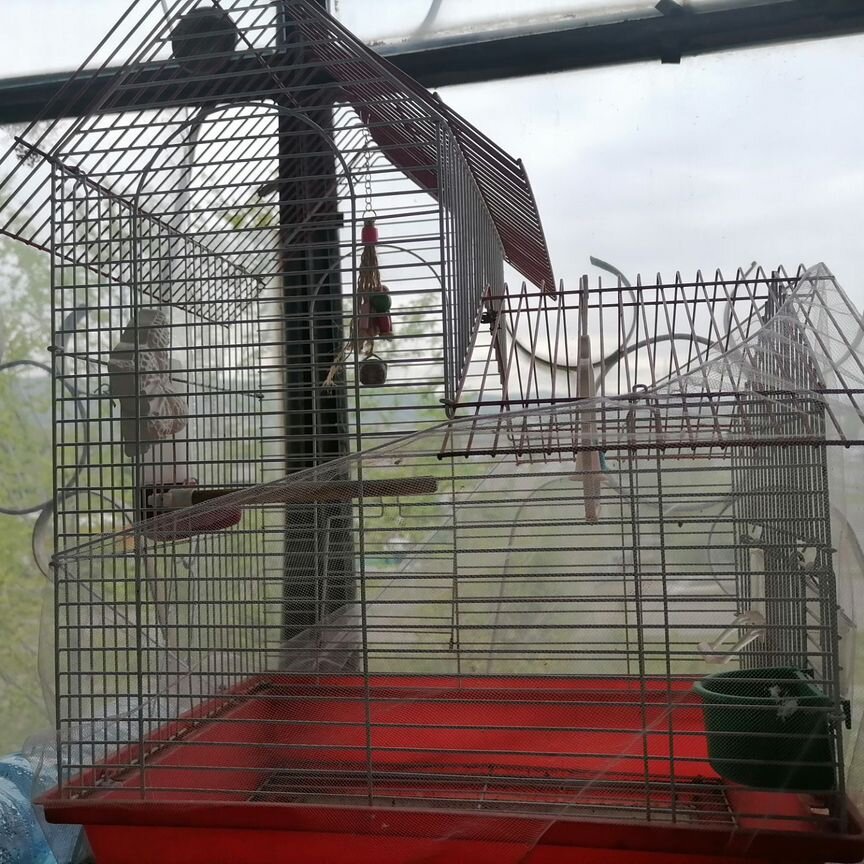 Клетка для попугая бу