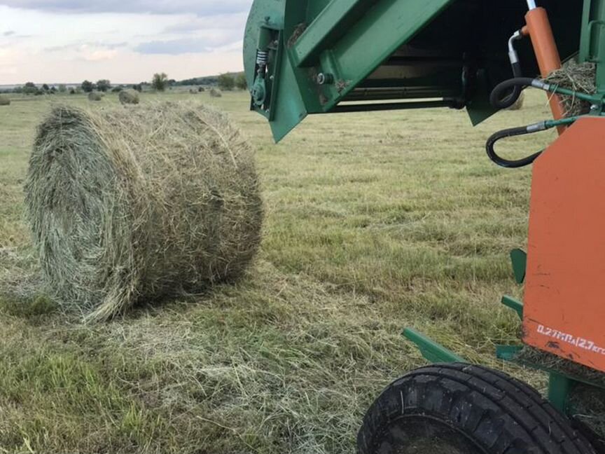 Сено луговое