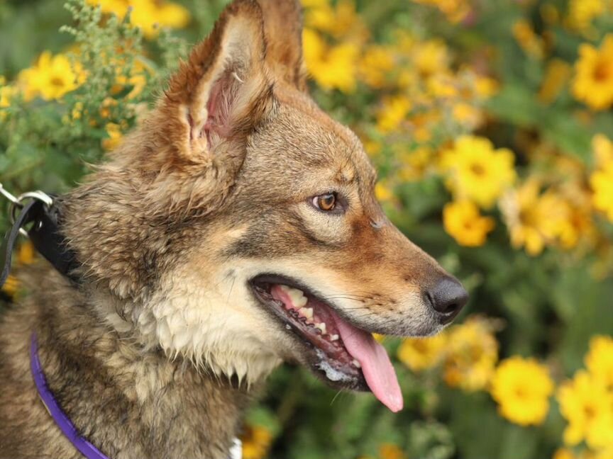 Бросили в автобусе