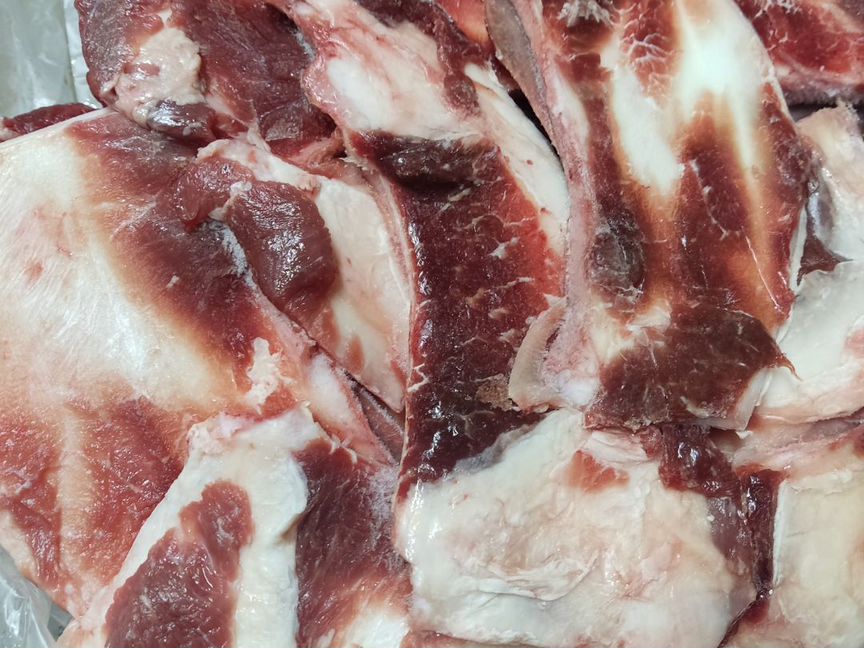 Хрящ лопаточный