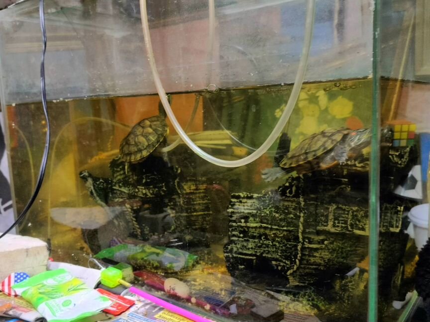 Продаю аквариум с рыбками