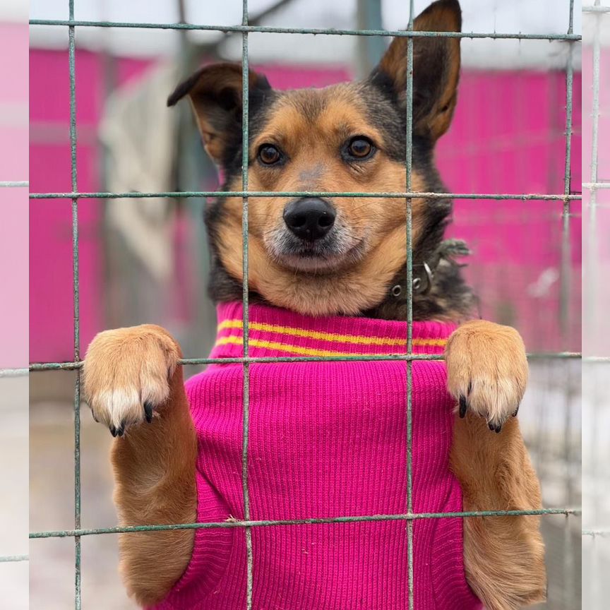 Стеснительная Ася