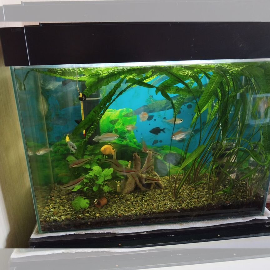 Аквариум 130 литров