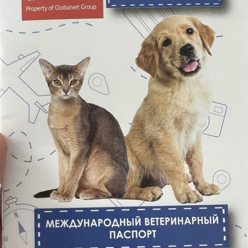 Паспорт ветеринарный 100шт