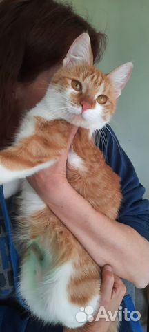 Малышка Злата ищет дом