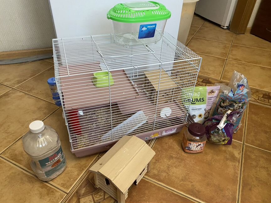 Клетка с сирийским хомяком 2 месяца