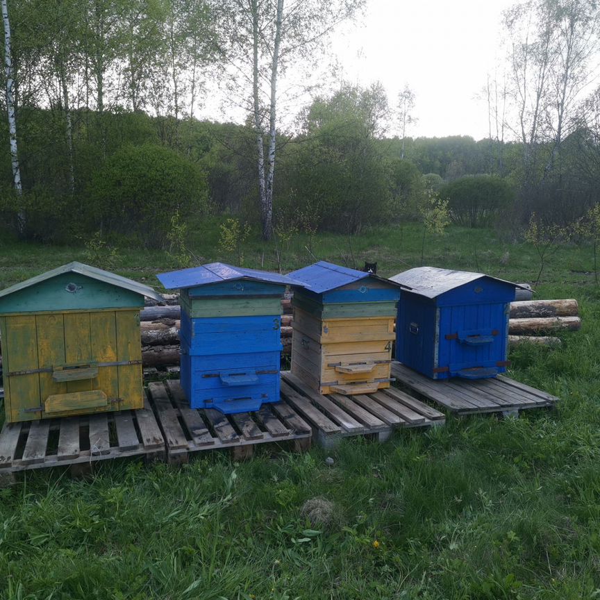 Улей 10 рамочный