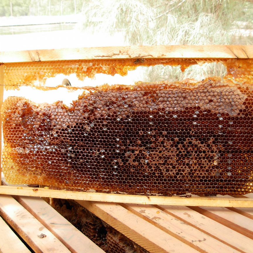 Рамки для улья