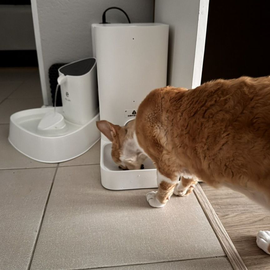 Автокормушка Xiaomi Petkit Fresh Element Mini