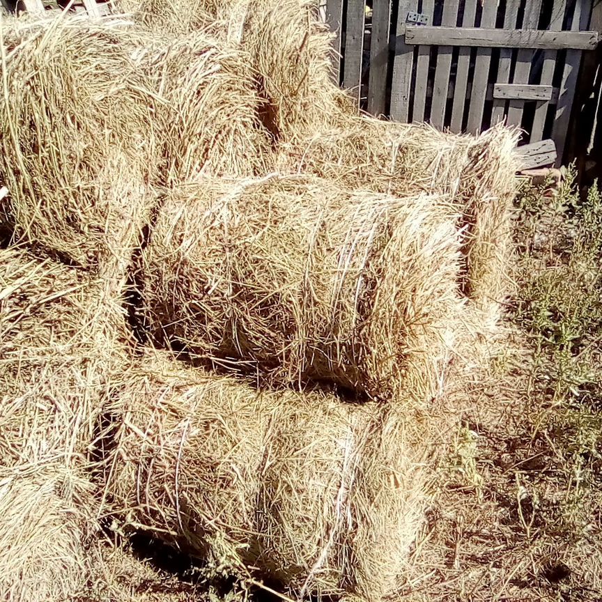 Сено,мини-рулон