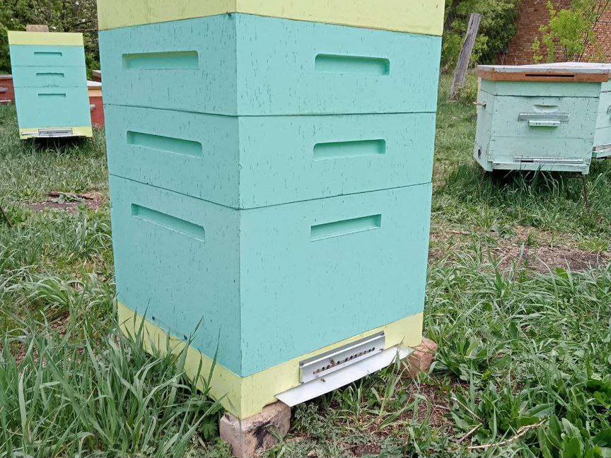 Улья ппу дадан 12 рамочные