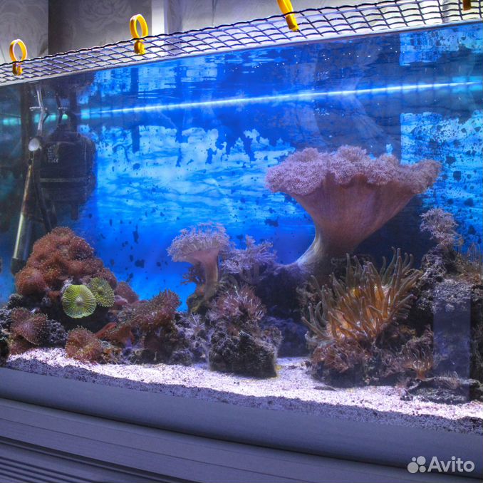 Продаю морской аквариум 100 литров