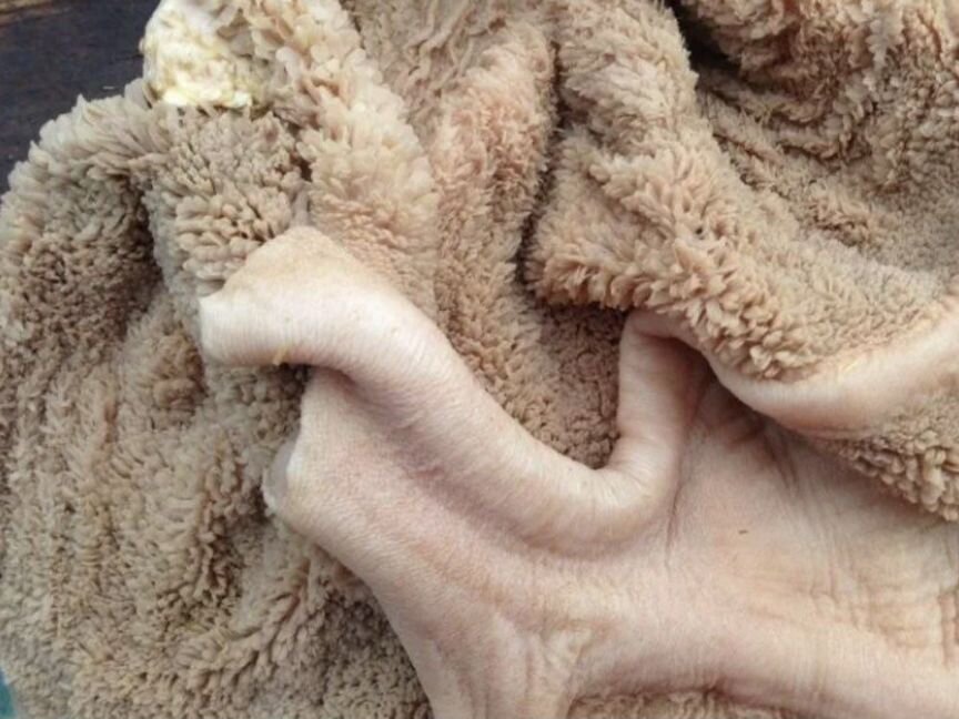 Рубец говяжий