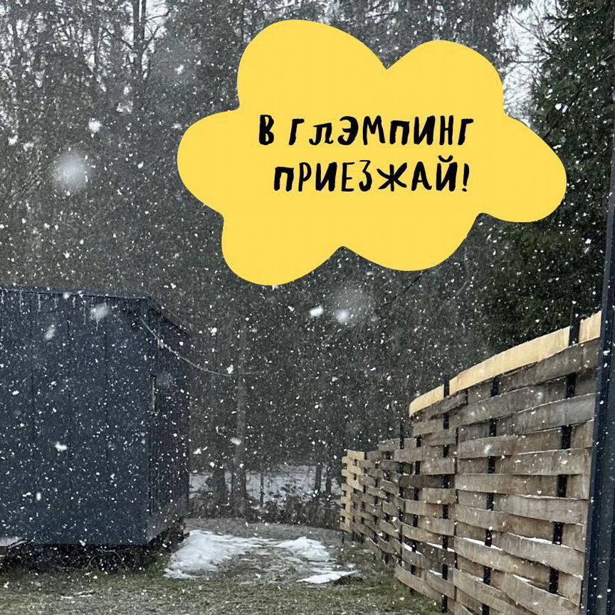 Рыжая кошка в добрые руки