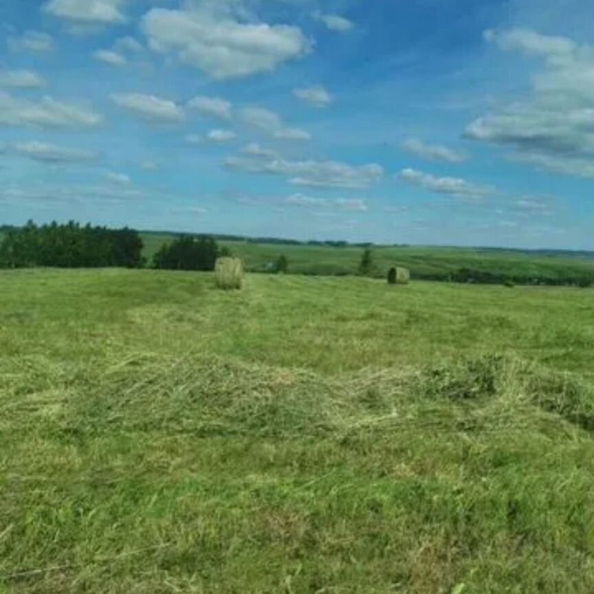 Сено в рулонах