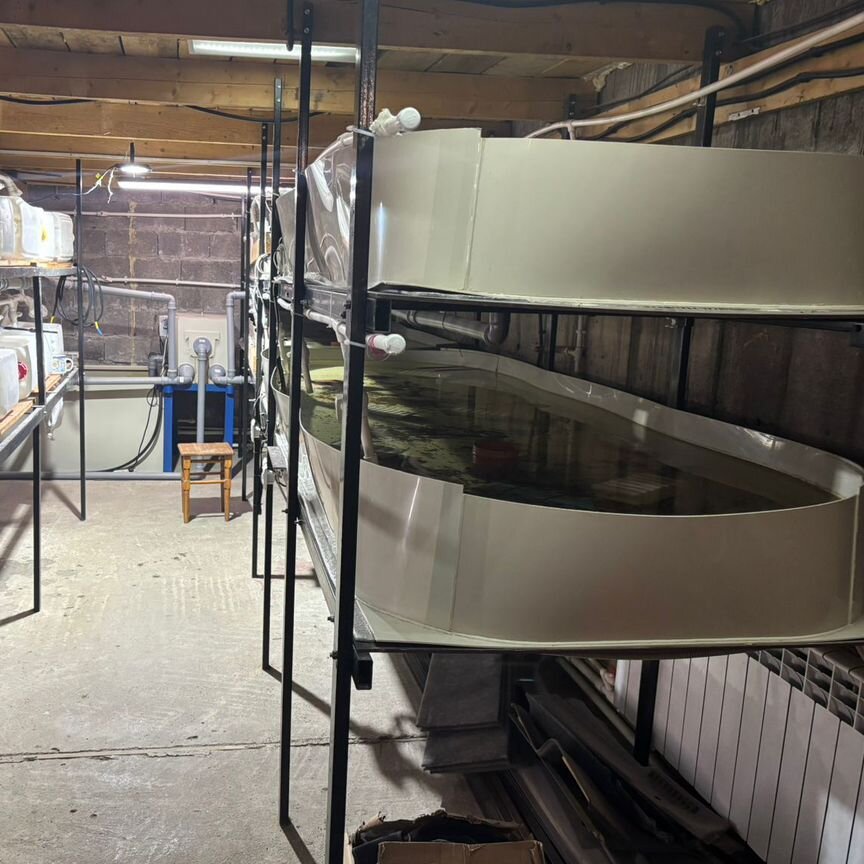 Узв для разведения раков